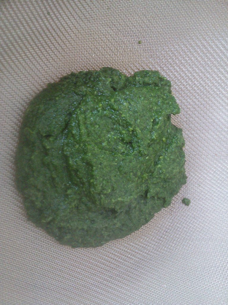 Delicious Nettle and Honey Cake - Wild Walks Southwest