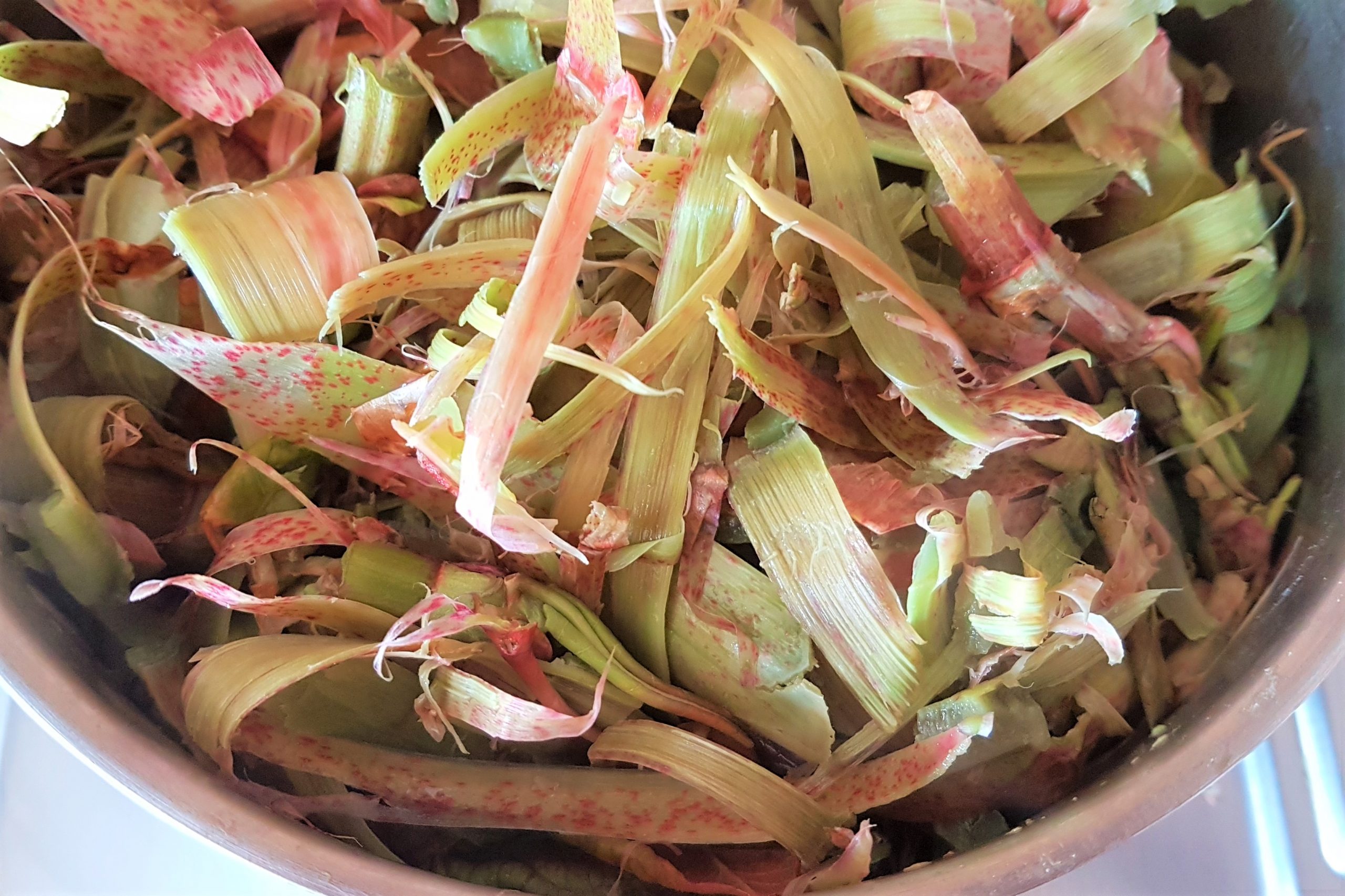 Tricks for making Japanese Knotweed edible - Wild Walks Southwest