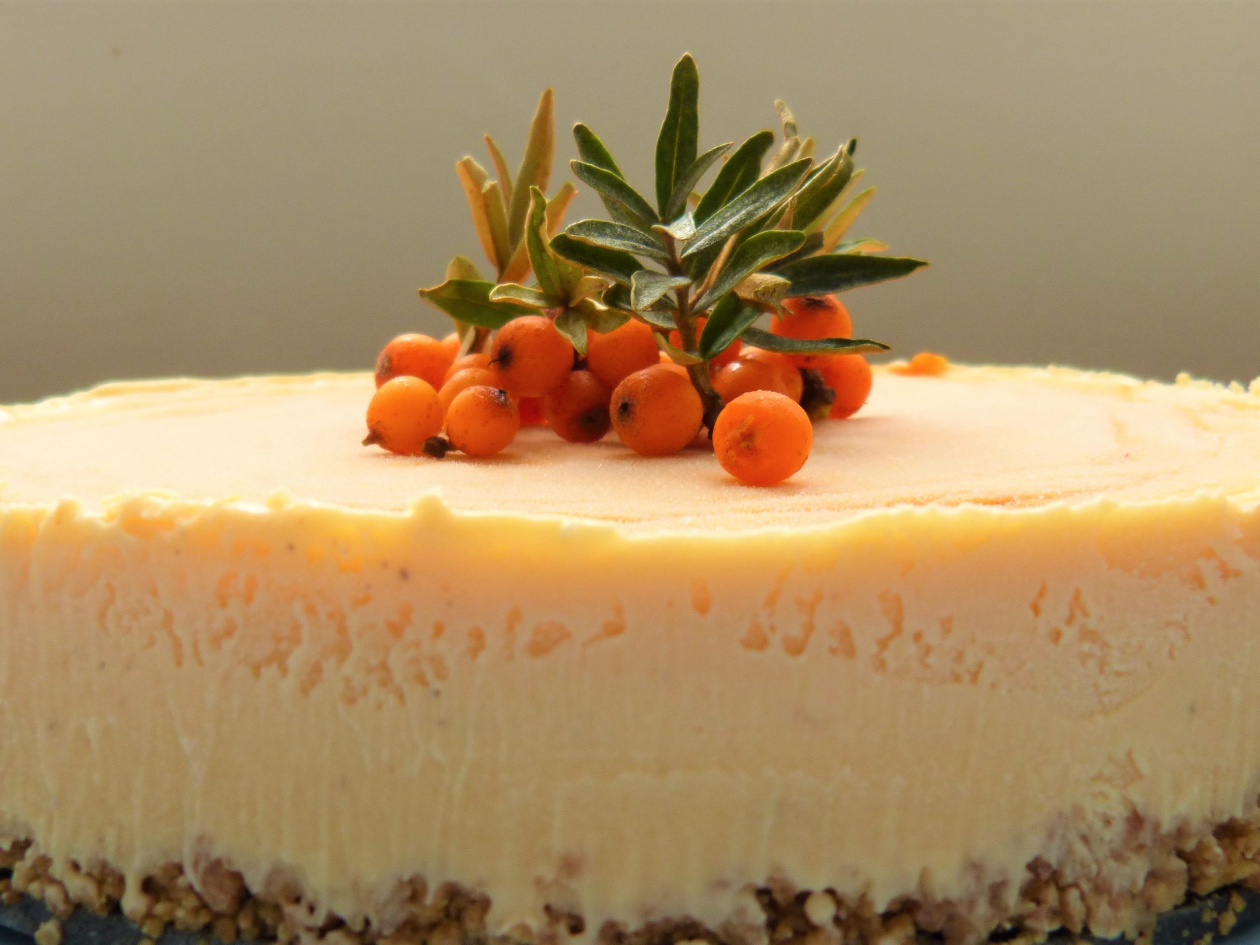 Baked Norwegian Sea Buckthorn Cheesecake With Almond Crust