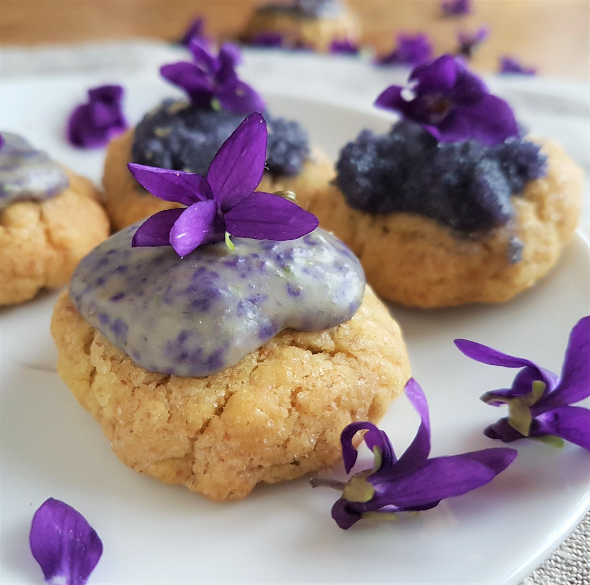A Dozen (12) Wild Violet Recipes - Wild Walks Southwest